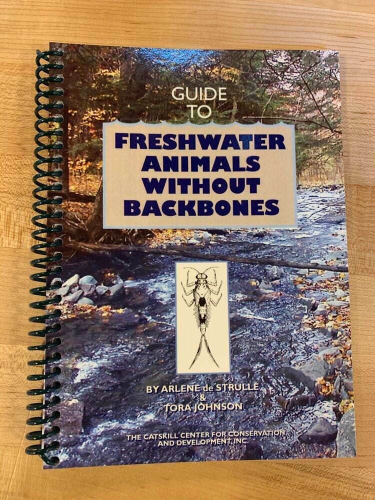 Guide to Freshwater Animals Without Backbones | Catskills Visitor Center