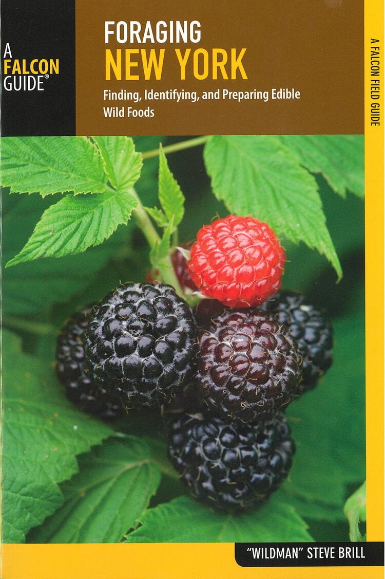 Foraging New York: Finding, Identifying, and Preparing Edible Wild Foods | Catskills Visitor Center